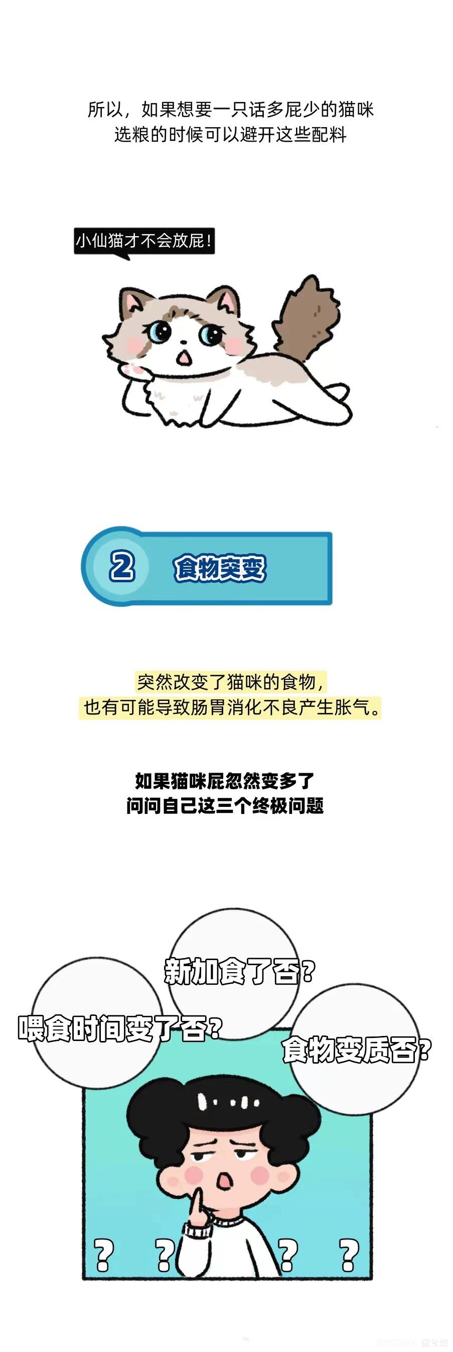 你知道吗?猫在被窝里放屁的感觉有多爽吗?风格插画设计作品 设计人才灵活用工 设计dna