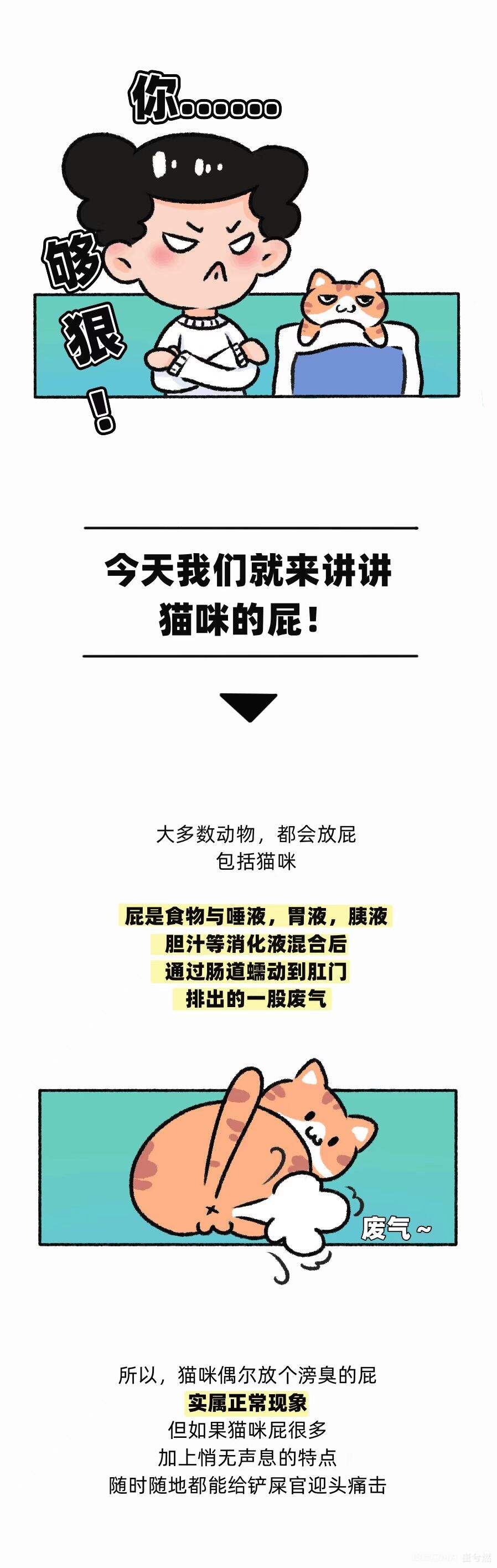 你知道吗?猫在被窝里放屁的感觉有多爽吗?风格插画设计作品 设计人才灵活用工 设计dna
