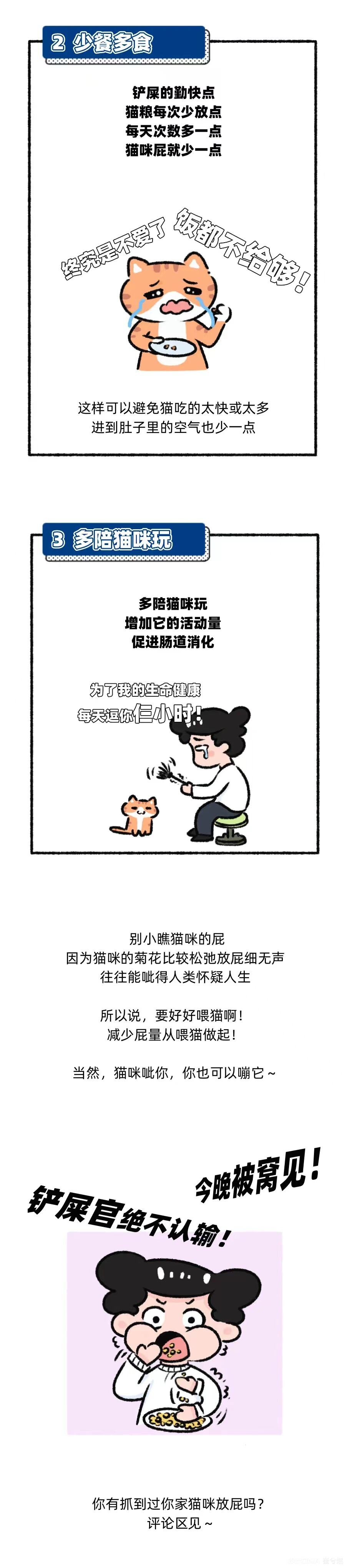 你知道吗?猫在被窝里放屁的感觉有多爽吗?风格插画设计作品 设计人才灵活用工 设计dna