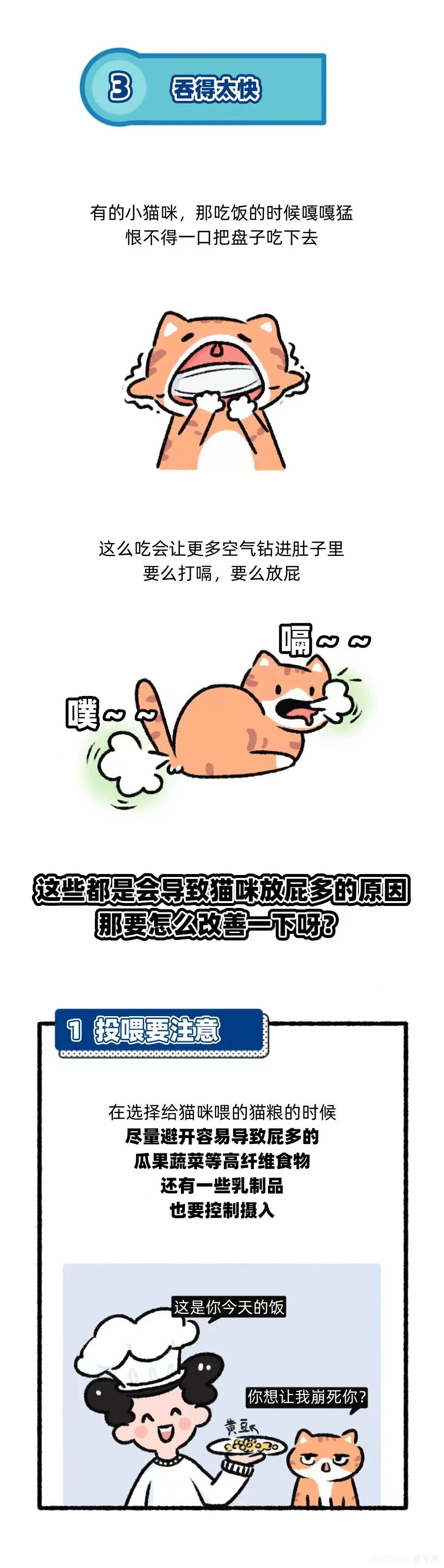 你知道吗?猫在被窝里放屁的感觉有多爽吗?风格插画设计作品 设计人才灵活用工 设计dna